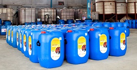 India's Proklean Tech's Probiotic Products Find Global Markets - Amritt ...