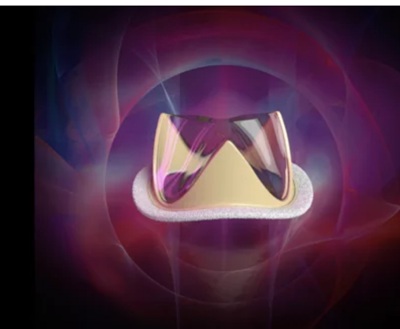 India Approves Foldax's Mitral Valve Device - Amritt, Inc.